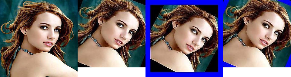 玩转pytorch中的torchvision.transforms_torchvision.transforms.randomcrop-CSDN博客