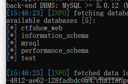 ctfshow web入门 sql注入 web201--web208-CSDN博客
