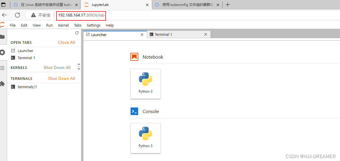 Kubernetes 通过 Deployment 部署Jupyterlab_jupyter kubernets-CSDN博客