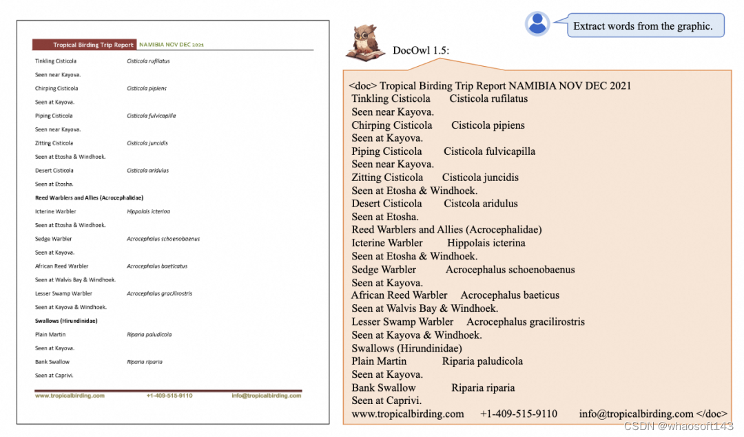 mPLUG-DocOwl 1.5-CSDN博客
