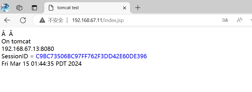 【Session】Tomcat Session 集群_192.168.67.12.8080-CSDN博客
