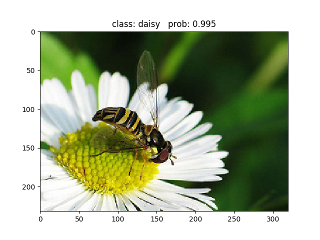 VIT(vision transformer)onnx模型解析_vit onnx-CSDN博客