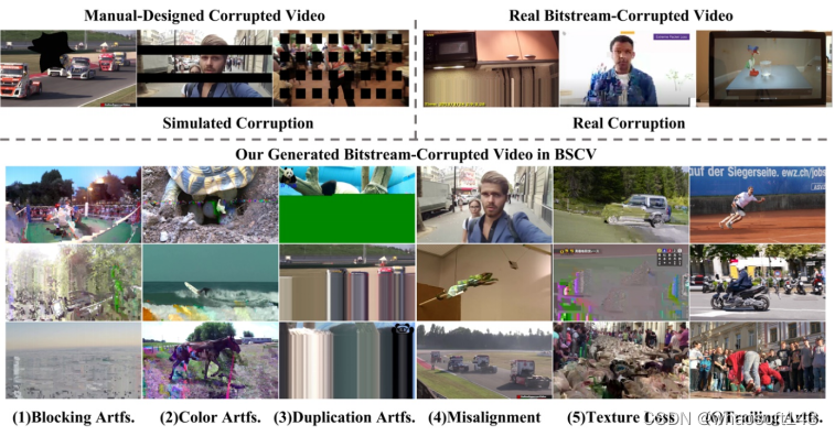 BSCV-Dataset-CSDN博客