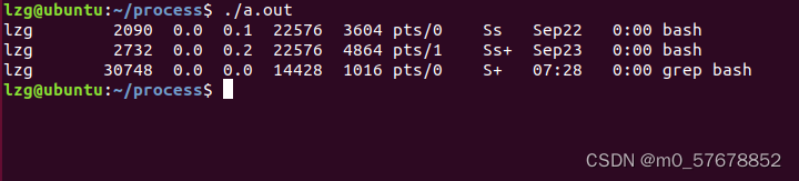父子进程间通信———实现ps aux | grep bash --color==auto 指令_grep --color=auto .sh-CSDN博客
