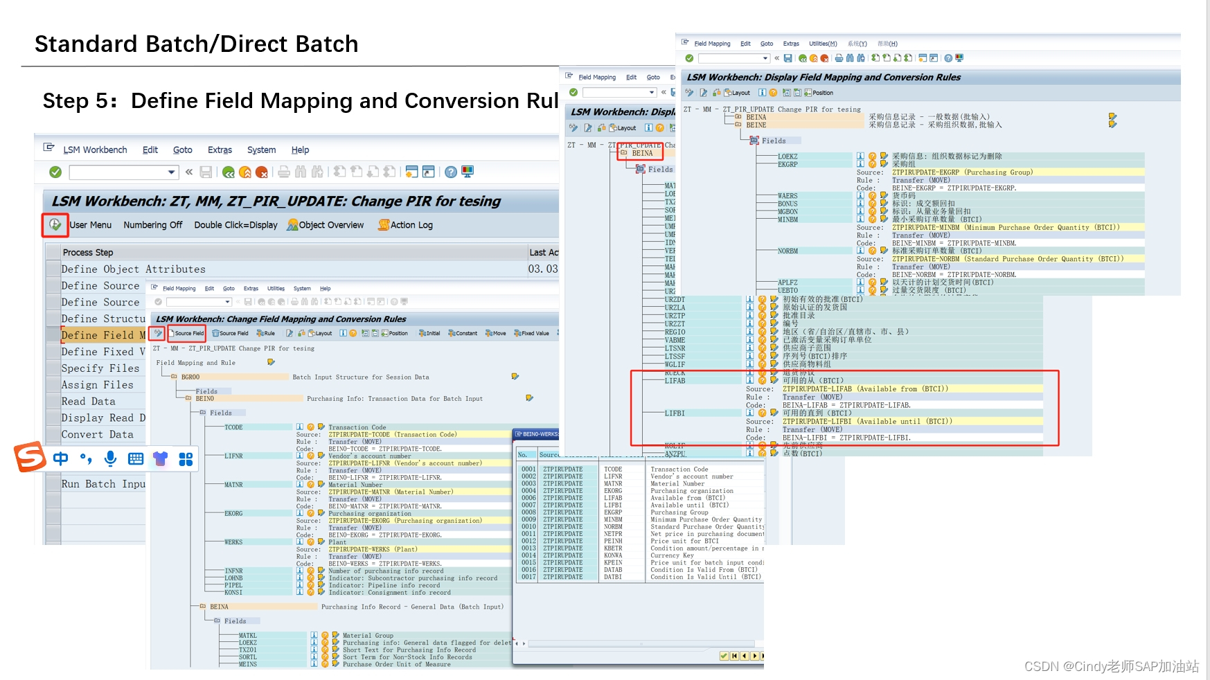 LSMW 功能展示一•Standard Batch/Direct Batch_lsmw standard-CSDN博客