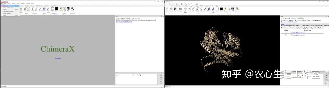 超实用！用ChimeraX对AlphaFold 结果可视化（上）_alphafold3结果可视化-CSDN博客