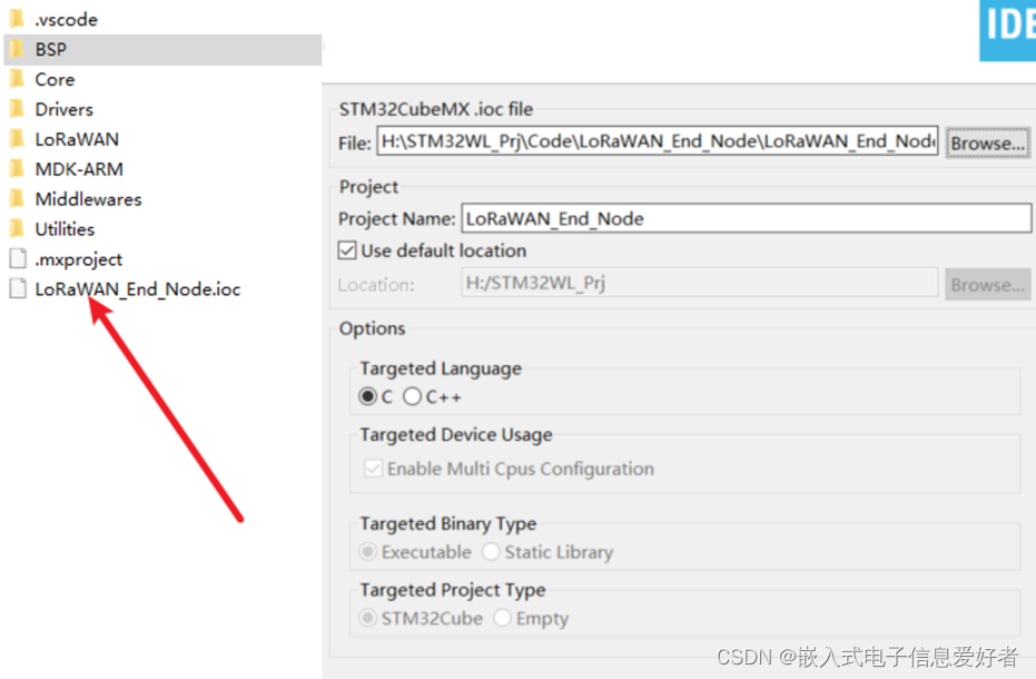【LoRaWAN_End_Node】基于STM32Cube IDE的代码移植与烧写_lora官方node代码移植-CSDN博客