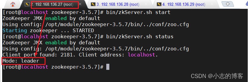Zookeeper3.5.7版本——集群部署（linux环境-centos7）_linux开放3888端口-CSDN博客