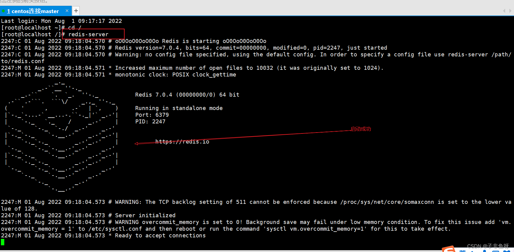 NOSQL数据库------------Redis_vscode nosql-CSDN博客