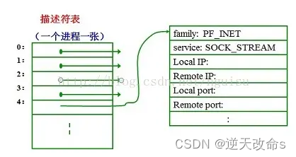 Linux的socket详解_linux socket-CSDN博客