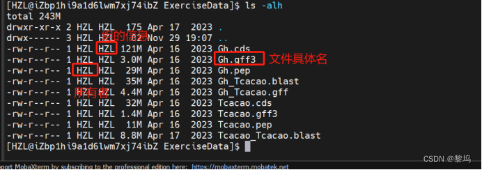 DAY 2 复习基本Linux指令+初识FASTA_fasta初识-CSDN博客