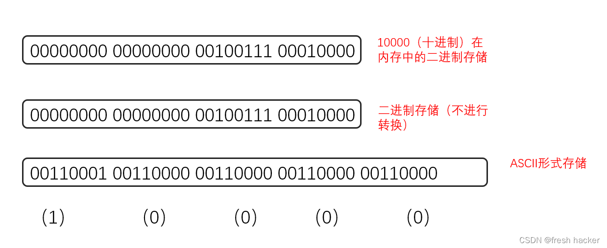C语言基础：文件操作与流管理 Csdn博客 