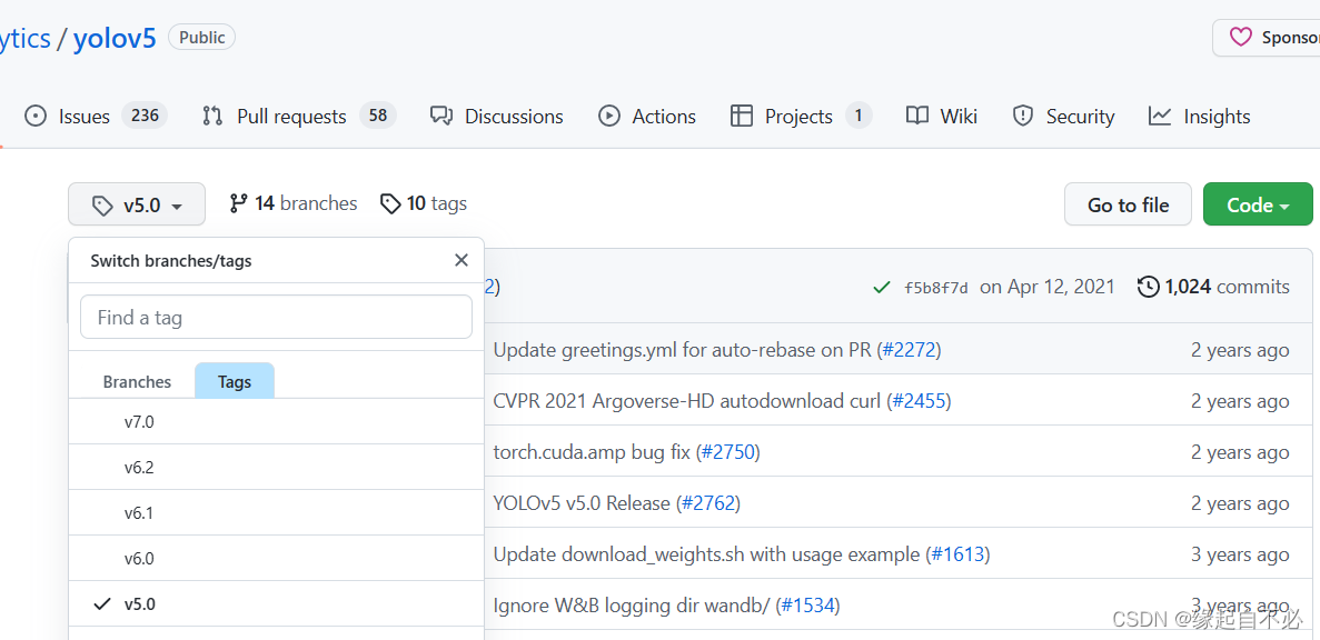 yolov5下载与常见报错解决_yolov5s.pt下载-CSDN博客