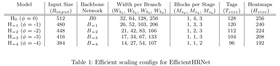 实时人体姿态估计！Efficient-HRNet：更快！更强！！-CSDN博客