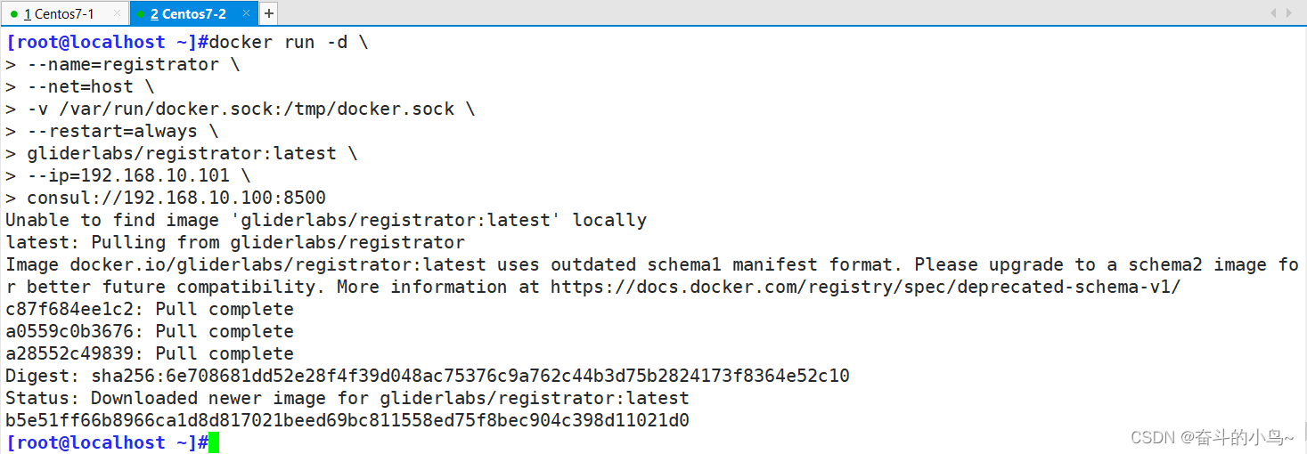Docker容器---docker-Consul部署_consul docker-CSDN博客