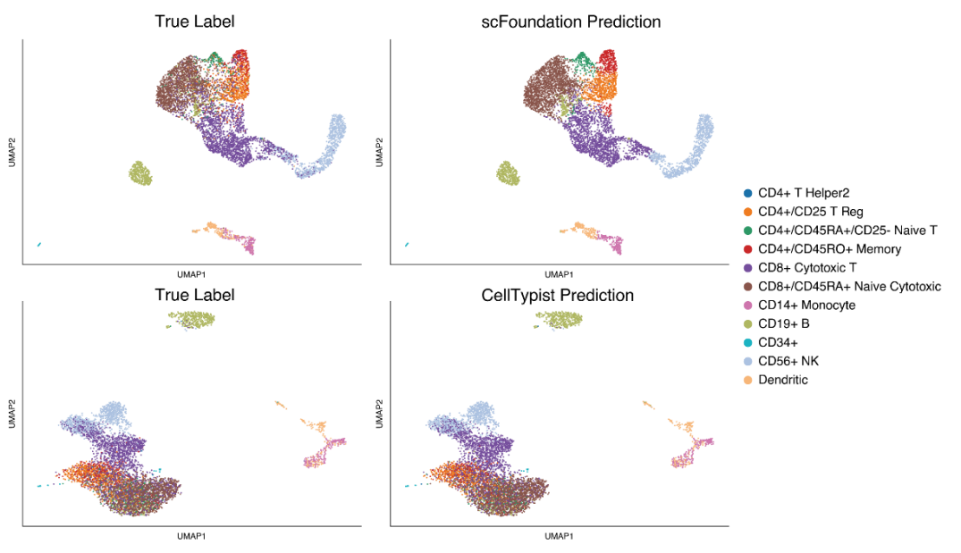 nature methods | 单细胞转录组学的大基础模型scFoundation（宋乐/张学工/马剑竹）_large-scale foundation model on single ...