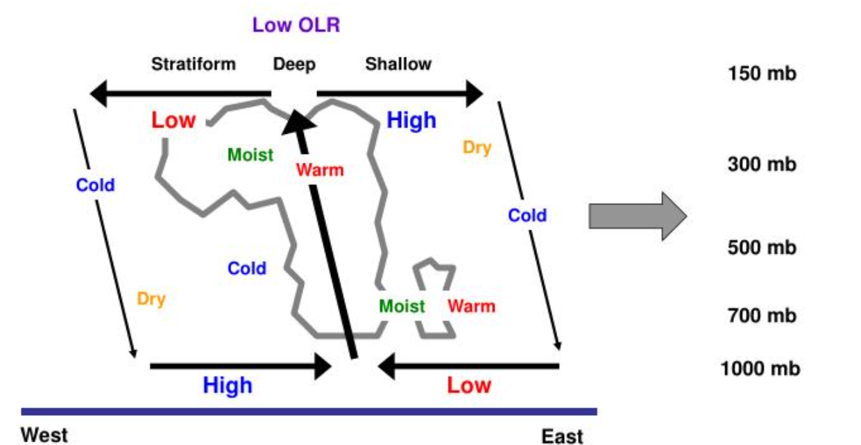 Gill-pattern_gill响应-CSDN博客