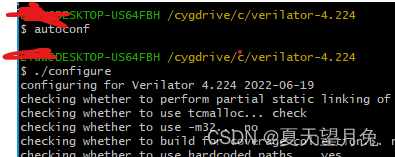 Verilator windows 安装-CSDN博客