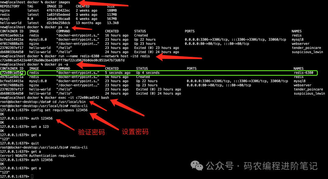 Docker安装redis并启动设置密码docker Redis 设置密码 Csdn博客