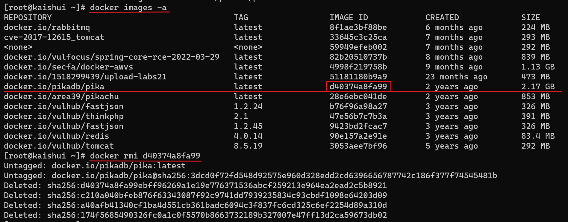 【Linux-Docker】Docker常用命令_linux下docker命令-CSDN博客