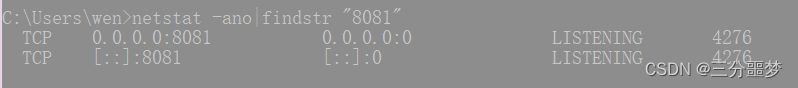 Org Apache Catalina Lifecycleexception Protocol Handler Start Failed解决