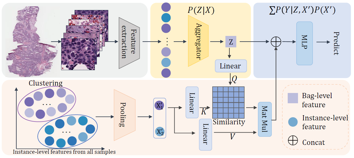 论文阅读112：CaMIL: Causal multiple instance learning for whole slide image classification (2024AAAI ...