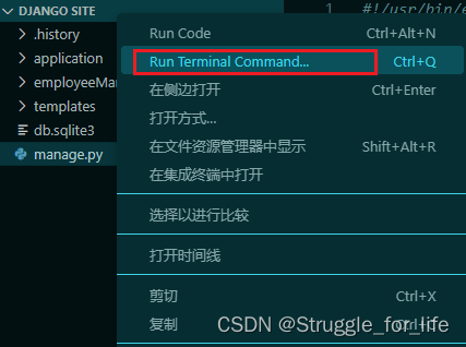 Vscode在搭建Django项目时效率提升_vscode django-CSDN博客