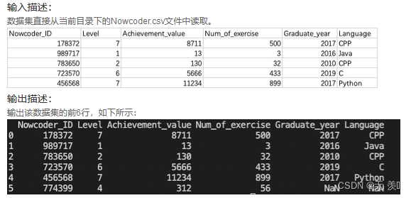 Python每日一练 （数据分析篇库）——第31天：查看数据nowcodercsv Csdn博客