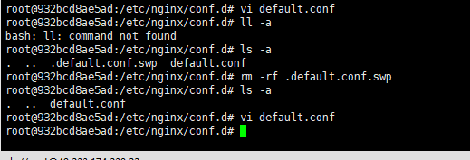 Swap file ".default.conf.swp" already exists! [O]pen Read-Only, (E)dit anyway, (R)ecover, (Q)uit ...