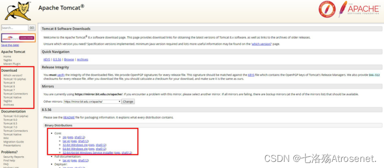 【JavaWeb入门】了解Web服务器Tomcat_javaweb 使用什么服务器-CSDN博客