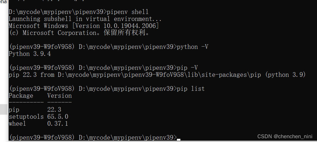 pipenv使用_warning: python 3.9 was not found on your system..-CSDN博客