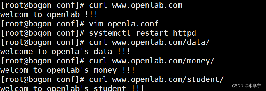 搭建与管理OpenLab网站及安全访问控制-CSDN博客