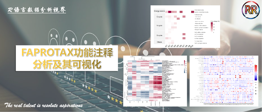 FAPROTAX分析：R语言实现微生物群落功能注释分析及可视化-CSDN博客