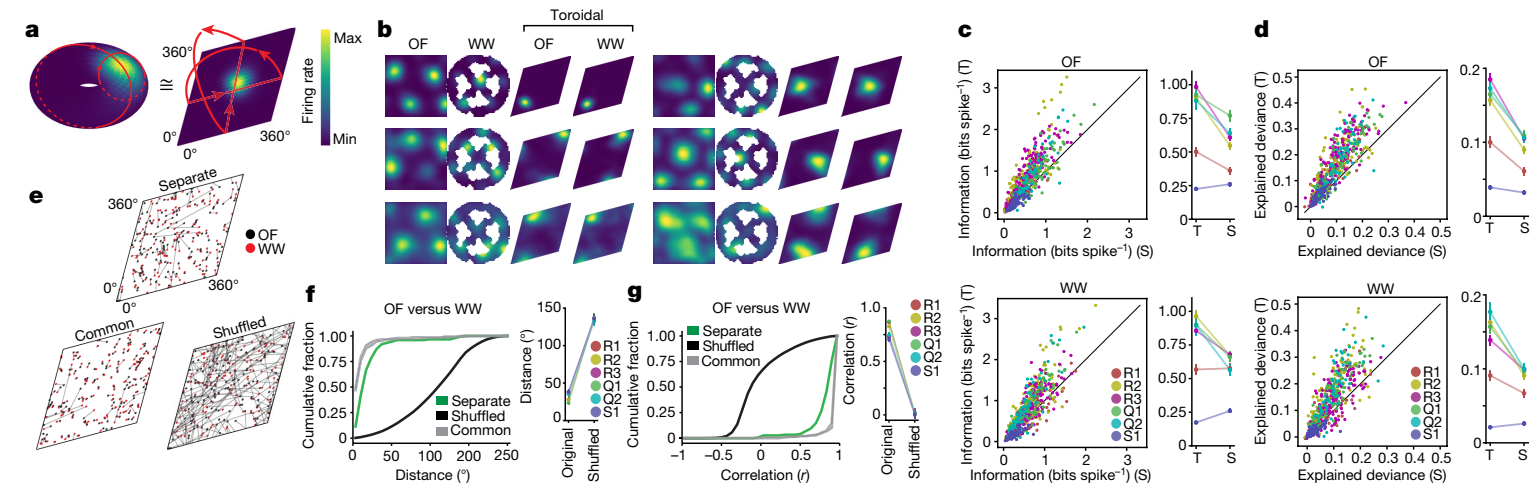 【博士每天一篇论文-实验分析】Toroidal topology of population activity in grid cells ...