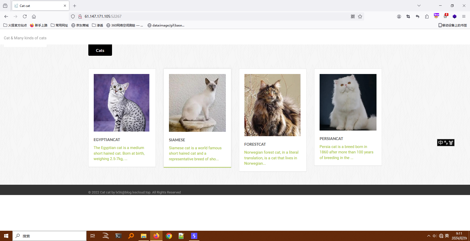 攻防世界-WEB-catcat-new_攻防世界catcat-new-CSDN博客