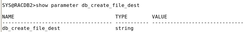 oracle中db_create_file_dest参数_oracle dest-CSDN博客