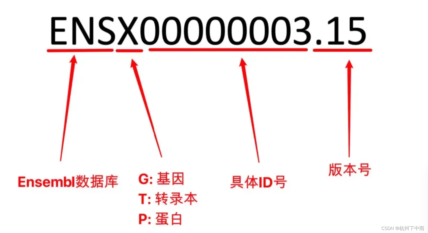 基因数据库ID转换：从SymbolID到EntrezID-CSDN博客