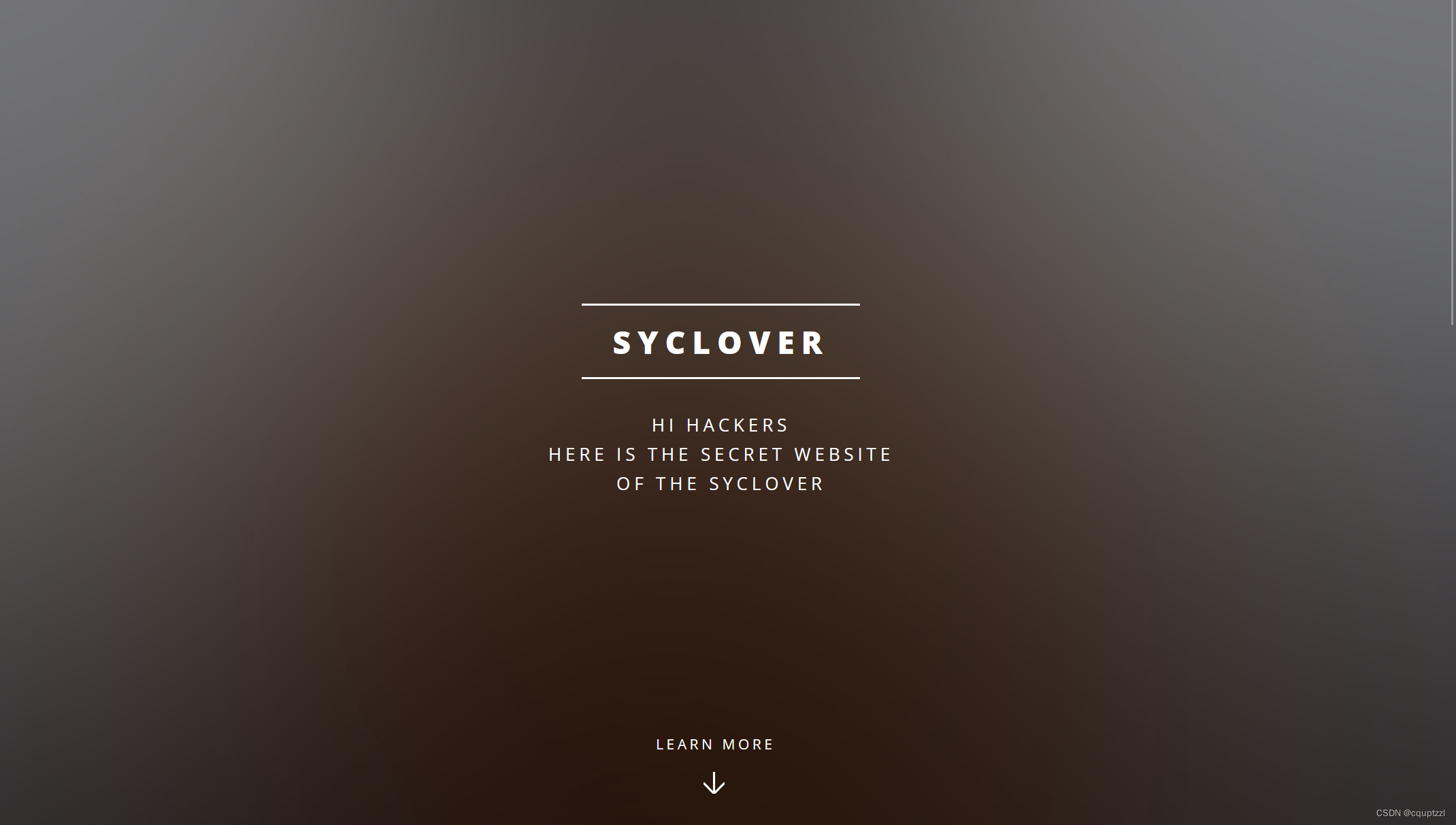 [极客大挑战 2019]Http-CSDN博客