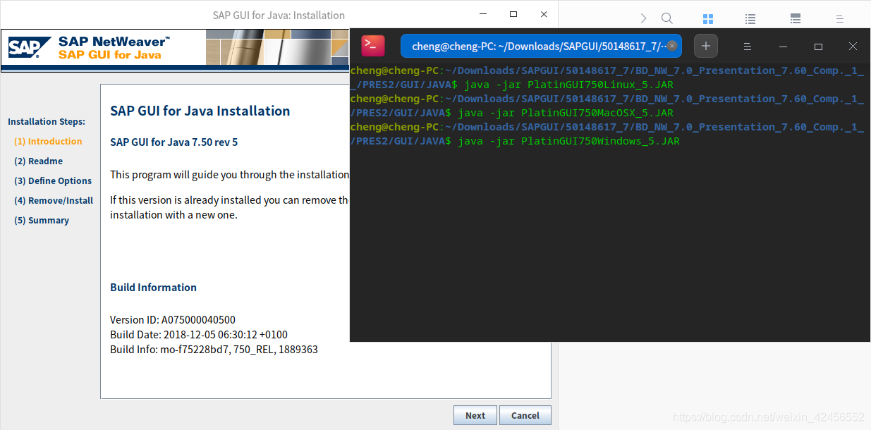 Linux上安装SAPGUI(附安装包)_sap gui for linux-CSDN博客