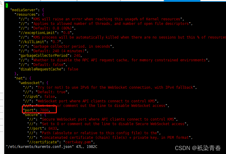 kurento-media-server和cotrun打洞的服务器的安装及部署,实现RTSP转WebRTC视频流播放_kurento ...