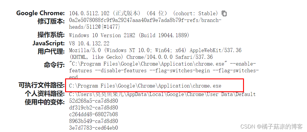 【已解决】chromedriver‘ executable needs to be in Path_chromedriver ...