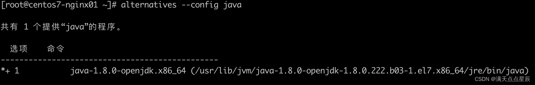 如何用alternatives命令进行java版本的转换_alternatives --config java-CSDN博客