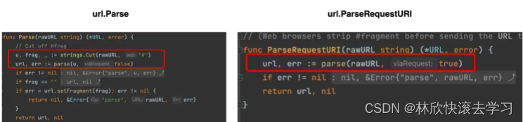 go中url.ParseRequestURI和url.Parse函数的踩坑记_go url.parse-CSDN博客