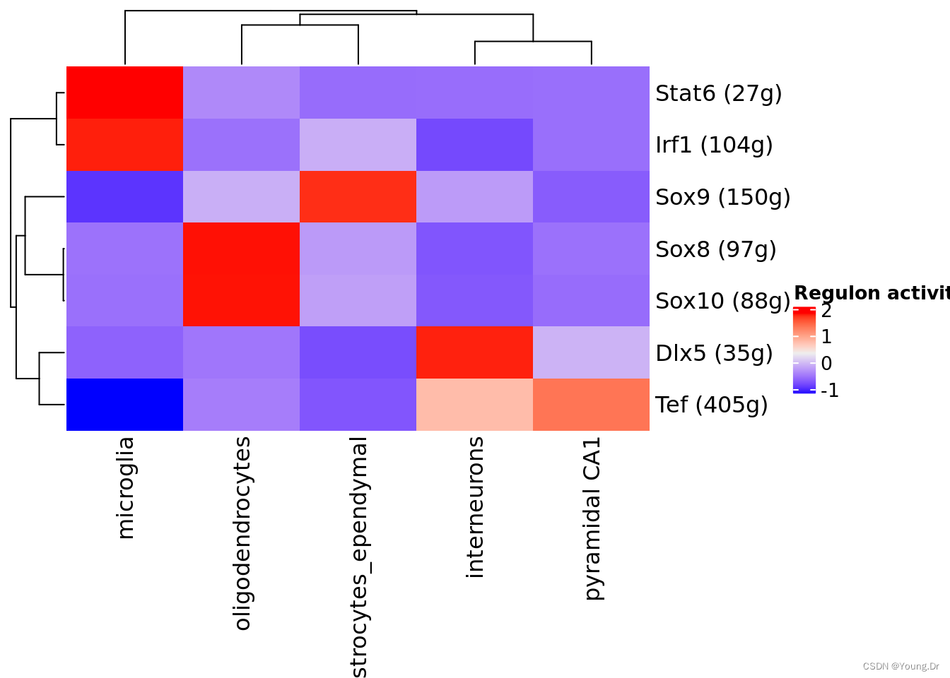 pyscenic r版本转录因子分析 r版本步骤详解-CSDN博客