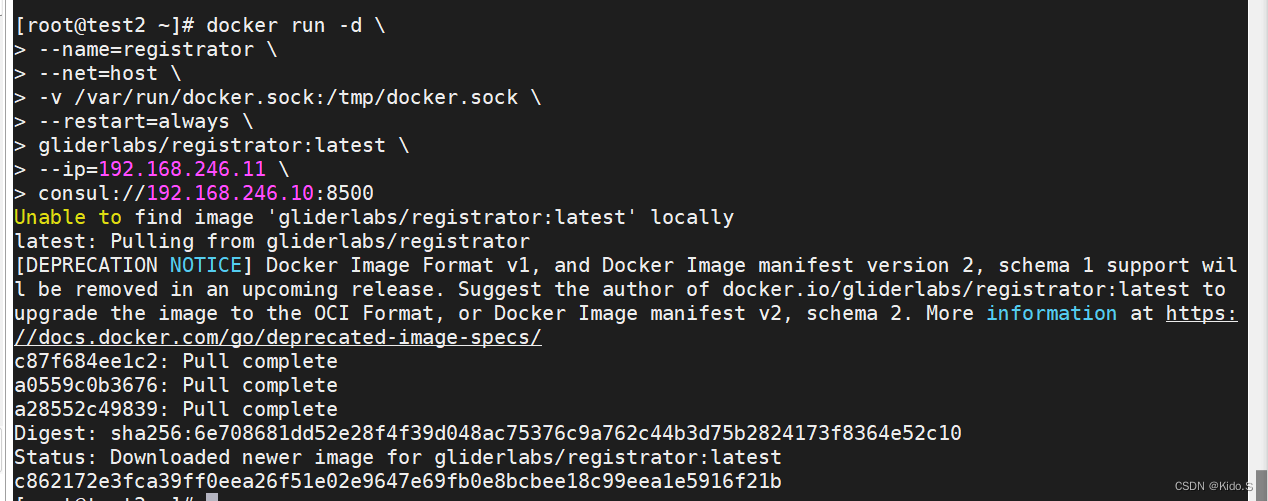docker-consul部署_docker 部署consul-CSDN博客