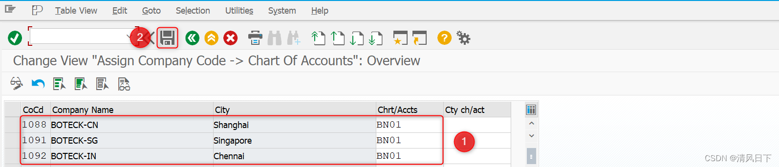 FI配置-财务会计-给公司代码分配总账科目表(事务码OB62&后台表T001&英文Assign Company Code to Chart ...