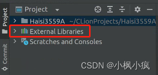 CLion使用技巧-CSDN博客