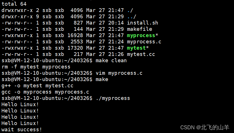 【Linux】详解进程程序替换_linux脚本替换进程-CSDN博客