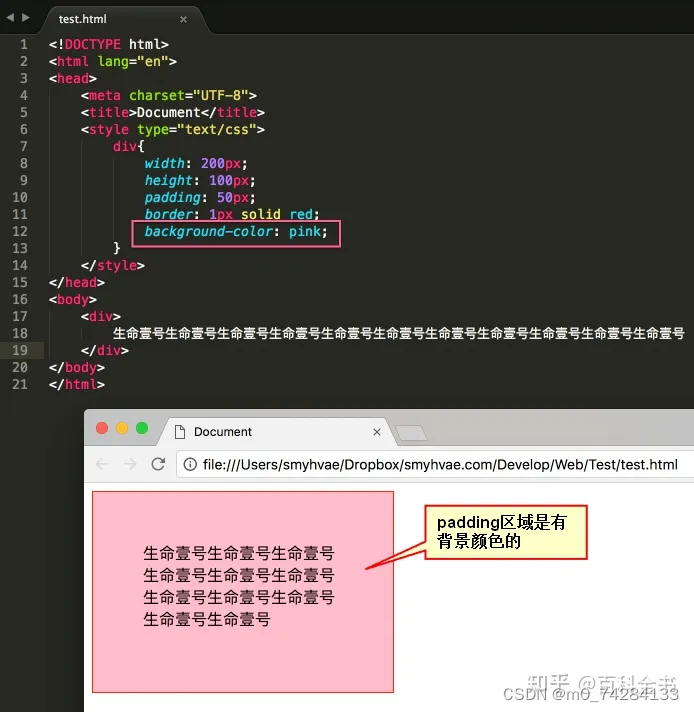 css padding属性-CSDN博客