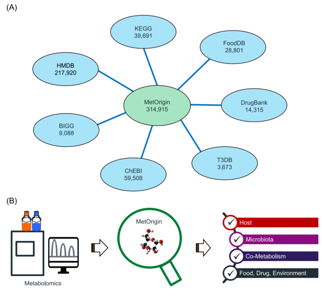 iMeta | mibPOPdb: 华中科技大学张后今开发微生物降解POP在线数据库-CSDN博客
